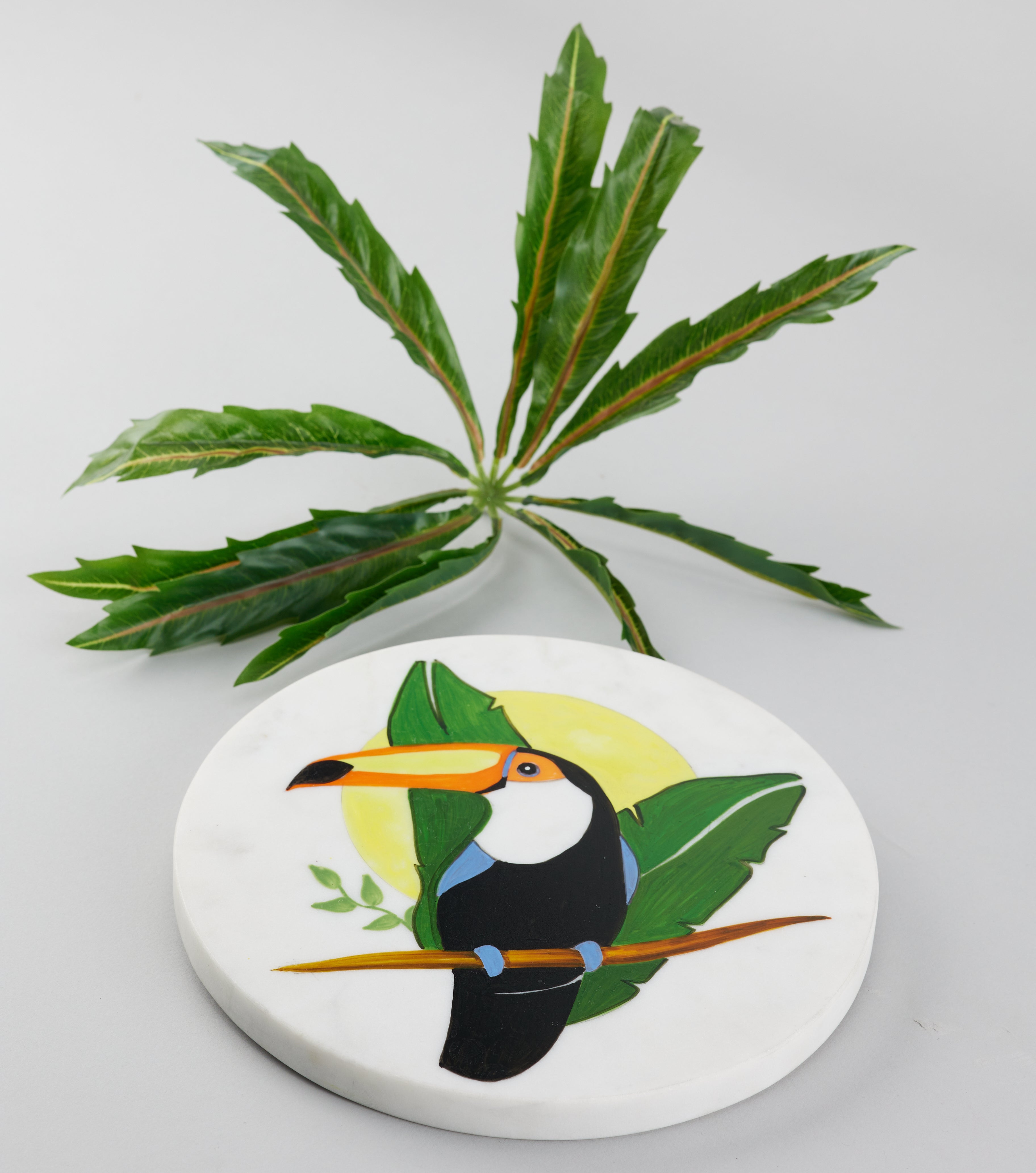 Hand Painted Rainforest Bird Wall Plate | Stone Essential